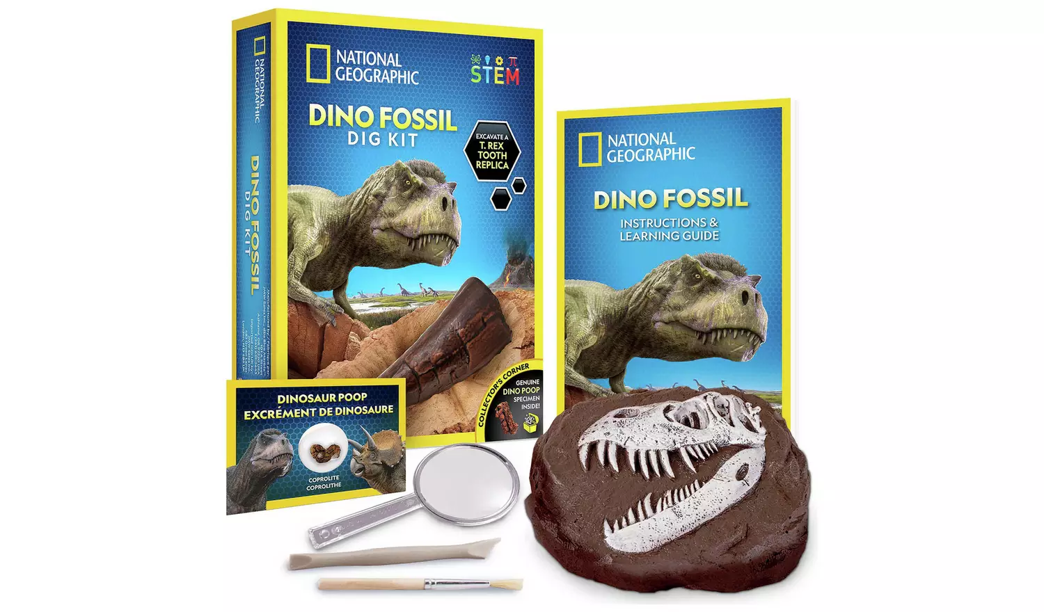 National Geographic Dino Fossil - Dig Kit - Nat Geo Kids Shop